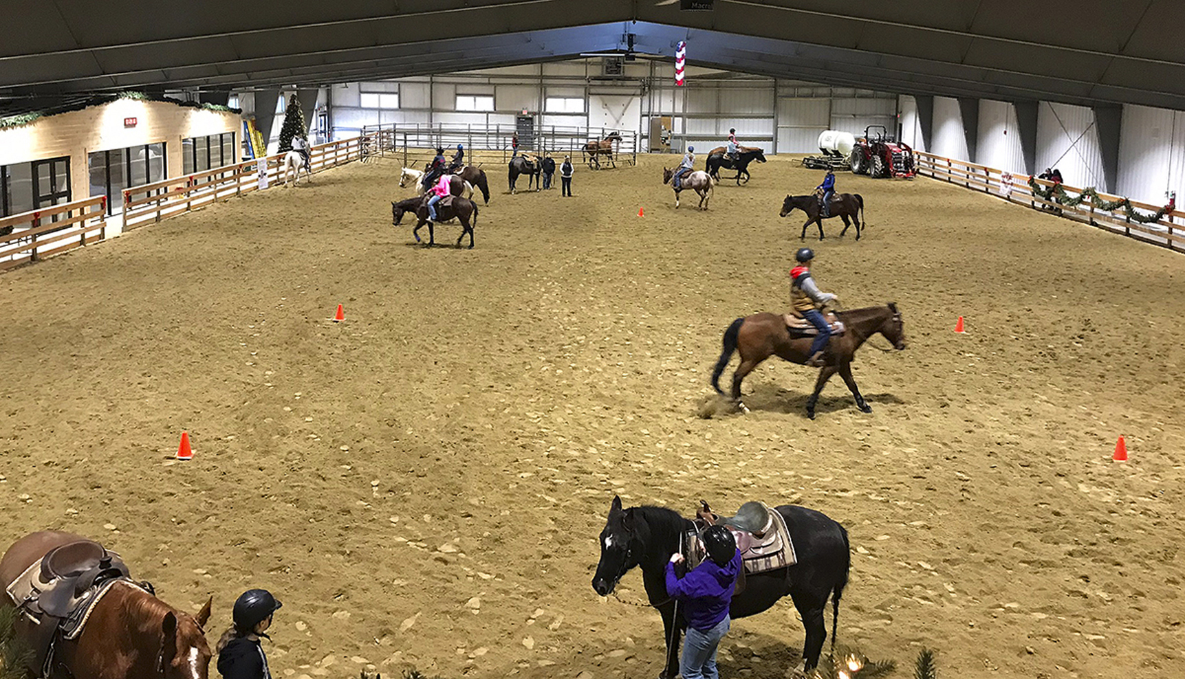 Homestead Stables Equestrian Center to ‘pause all operations’ | News ...